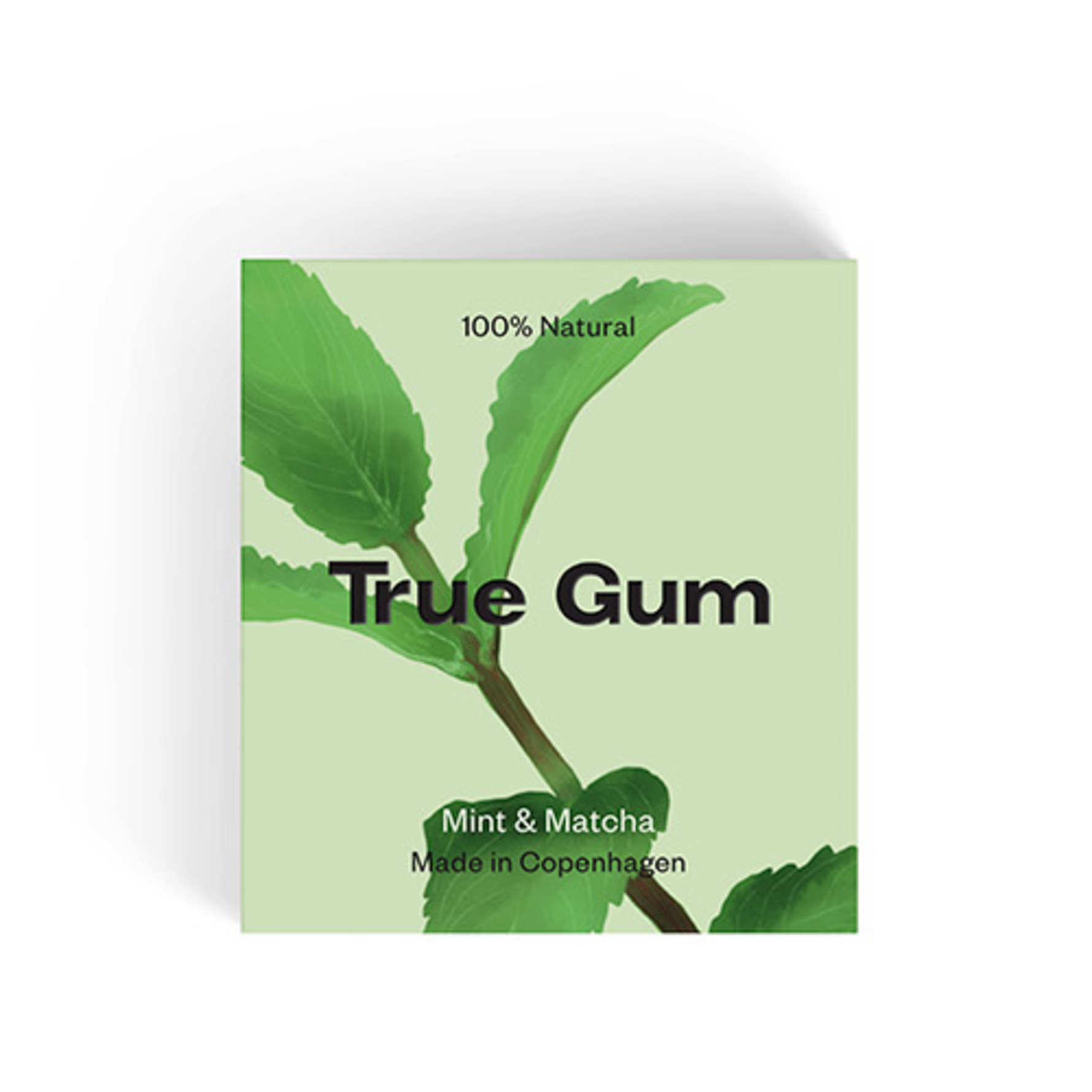 True Gum Mint & Matcha 20 gr.