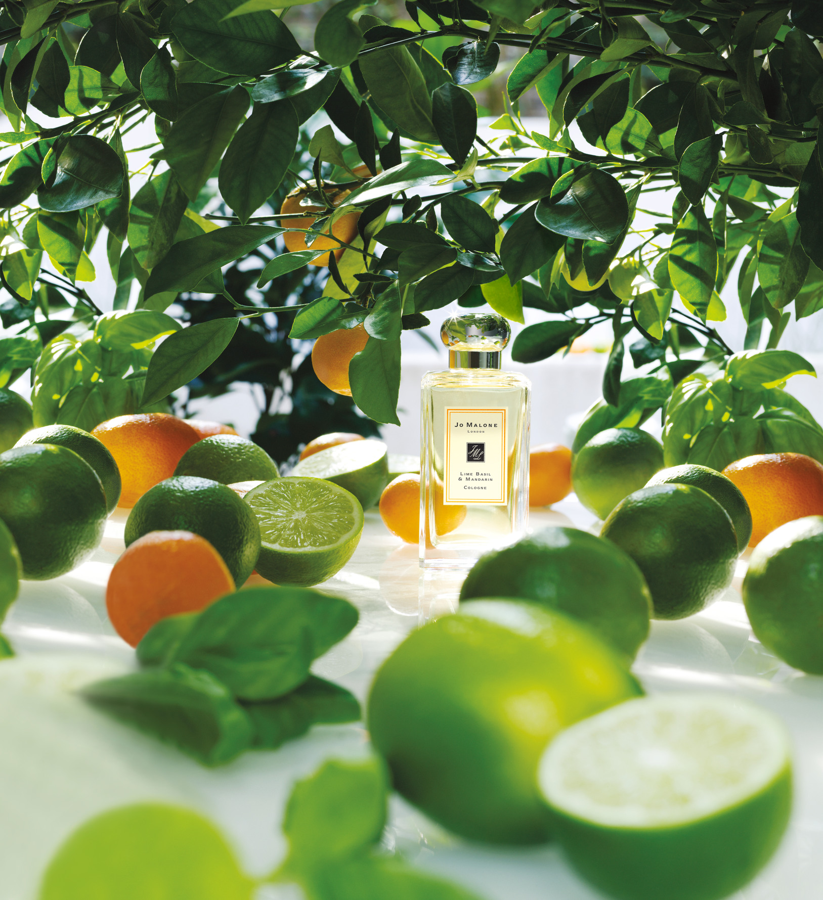 Køb Jo Malone Jml Lime Basil & Mandarin Cologne Prepack 100ml - Matas