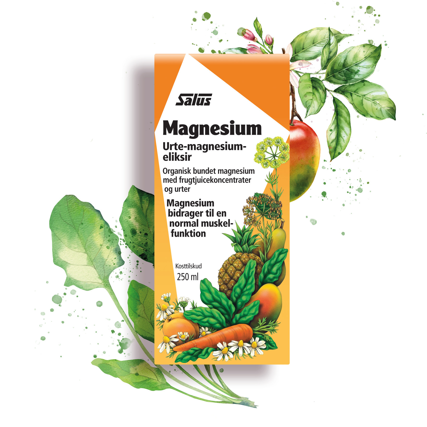 Køb Salus Magnesium 250 ml fra Salus - Matas