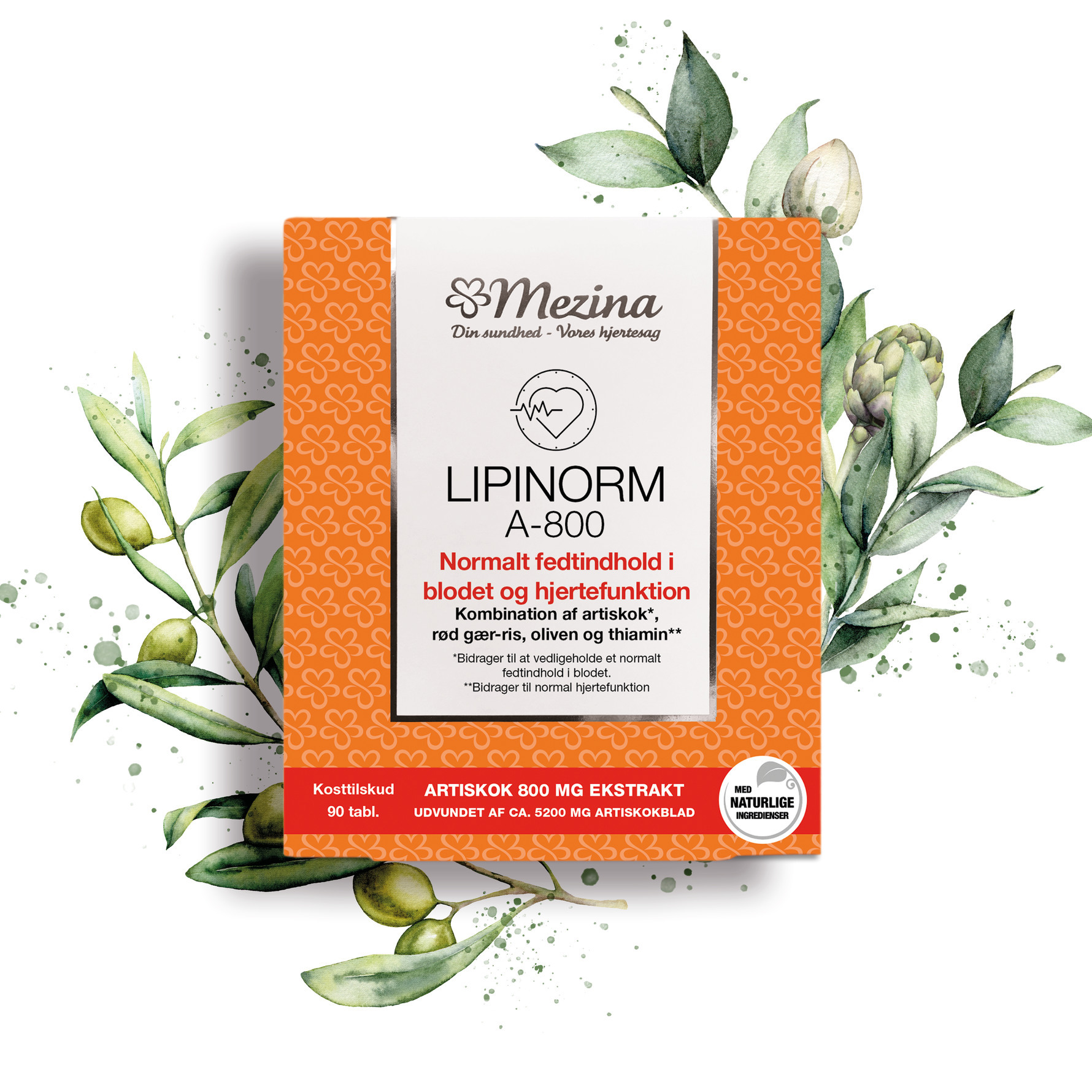 Køb Lipinorm A-800 90 tabl. fra Mezina - Matas