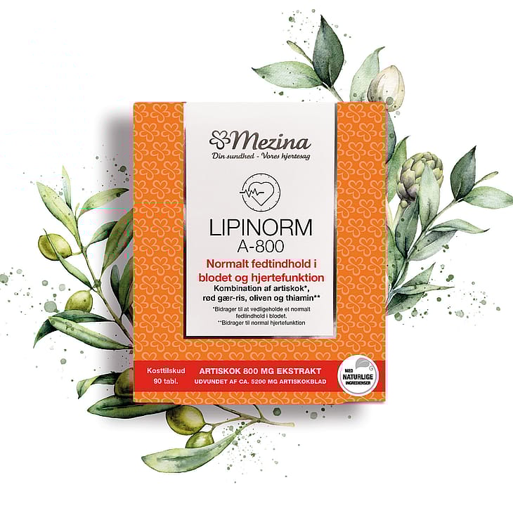 Lipinorm Hjertet fra Mezina - Se udvalg og tilbud hos Matas