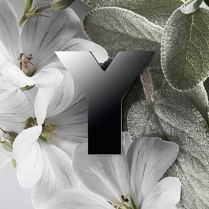 Køb Yves Saint Laurent Y Men Edp 100 ml - Matas