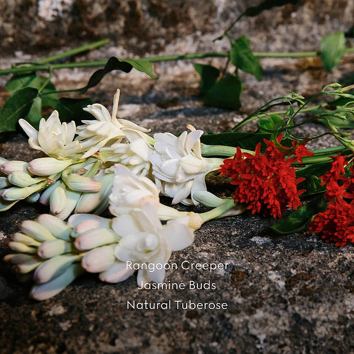 Køb Gucci bloom eau de parfum 50 ml. - Matas