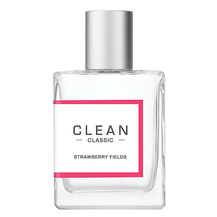 Clean Dam - KICKS
