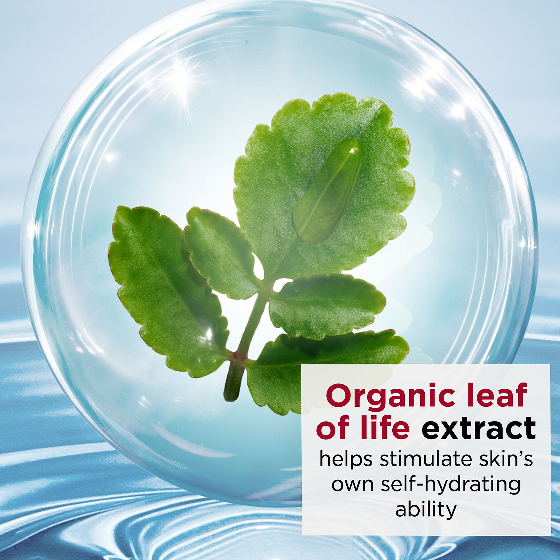 Køb Total Eye Hydrate 20 ml fra Clarins - Matas