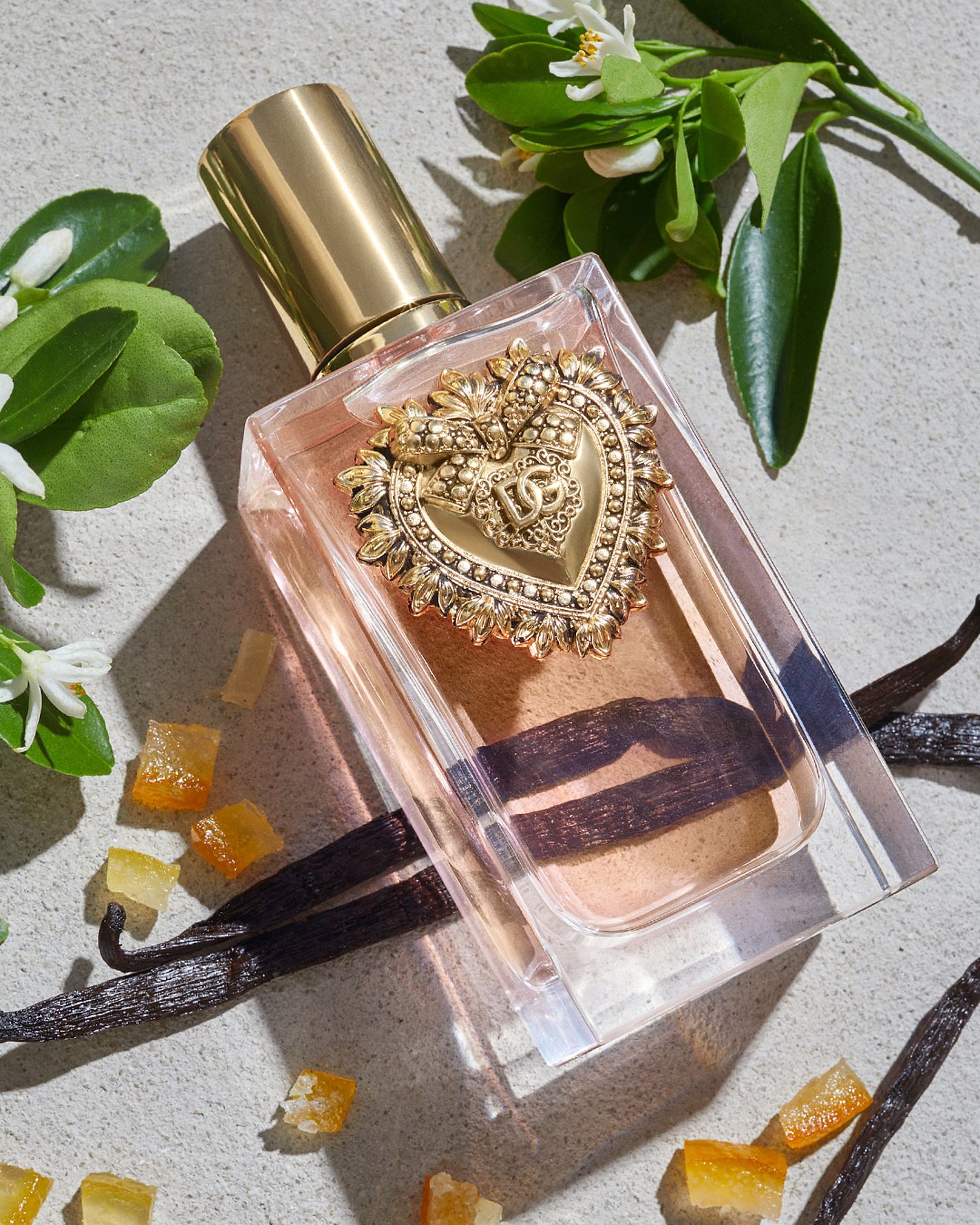 Køb Devotion Eau de Parfum 50 ml fra Dolce & Gabbana - Matas