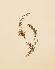 Køb Guilty Pour Femme Eau de Toilette 50 ml fra Gucci - Matas