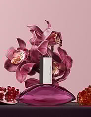 Køb Euphoria Eau de Parfum 50 ml fra CALVIN KLEIN - Matas