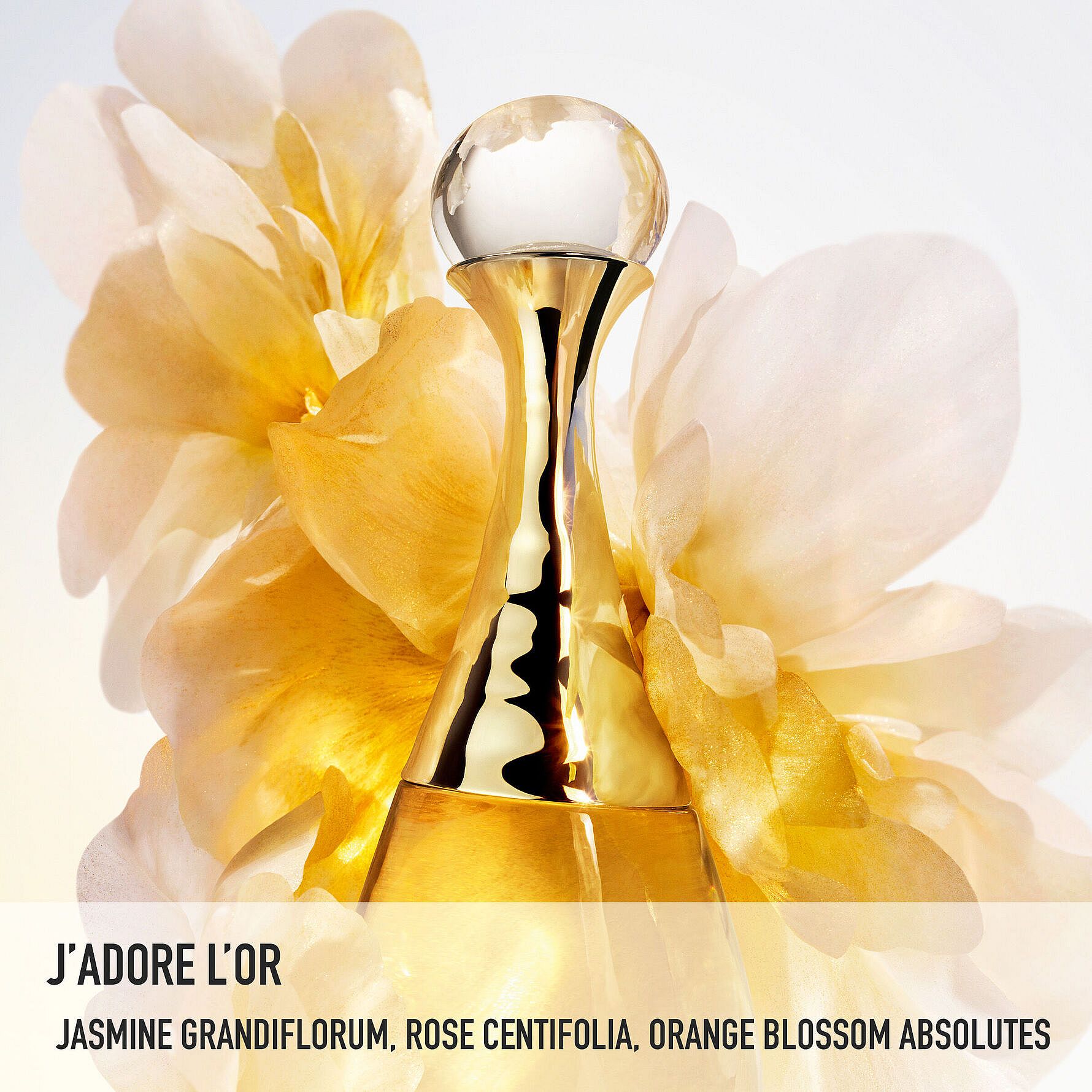 Køb J’adore l’Or Eau de Parfum 50 ml fra DIOR - Matas