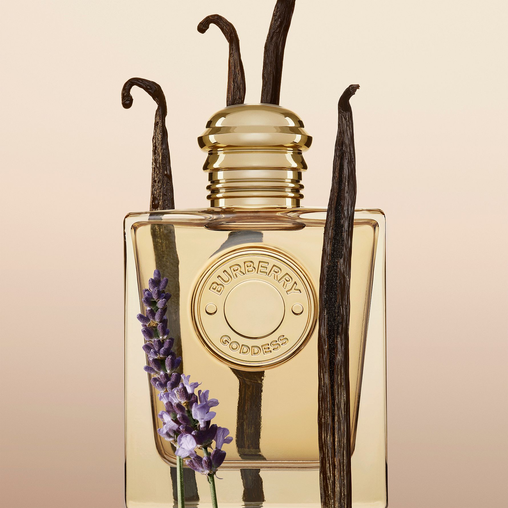 Kjøp Goddess EdP 50 ml - Burberry - KICKS