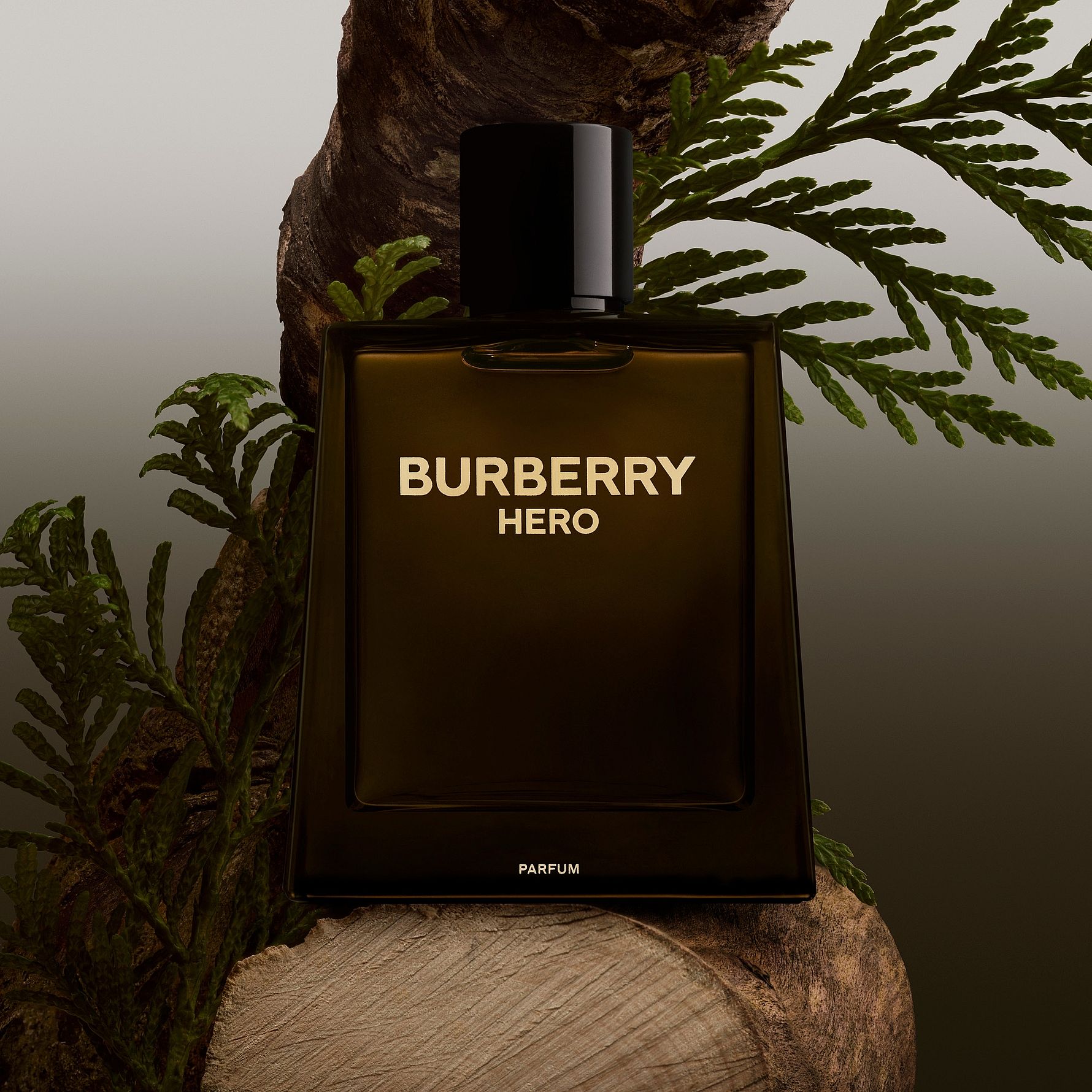 Hero Parfum 100 ml - Burberry - KICKS
