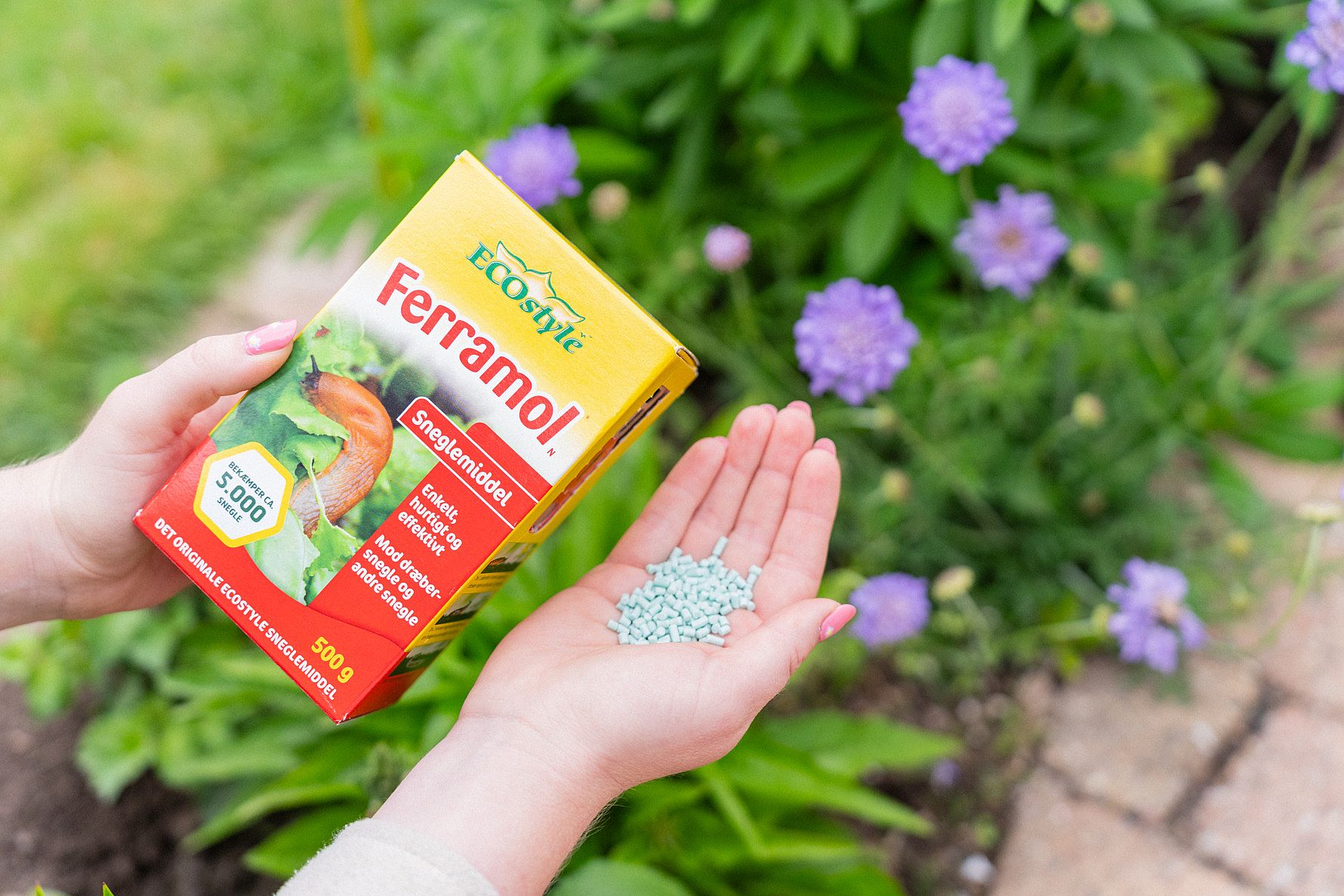 Køb Sneglefri Ferramol 500 g fra ECOstyle - Matas