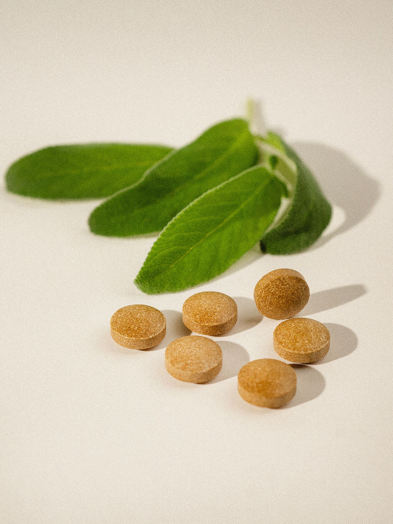 Køb Chello Forte 60 tabl. fra Mezina - Matas