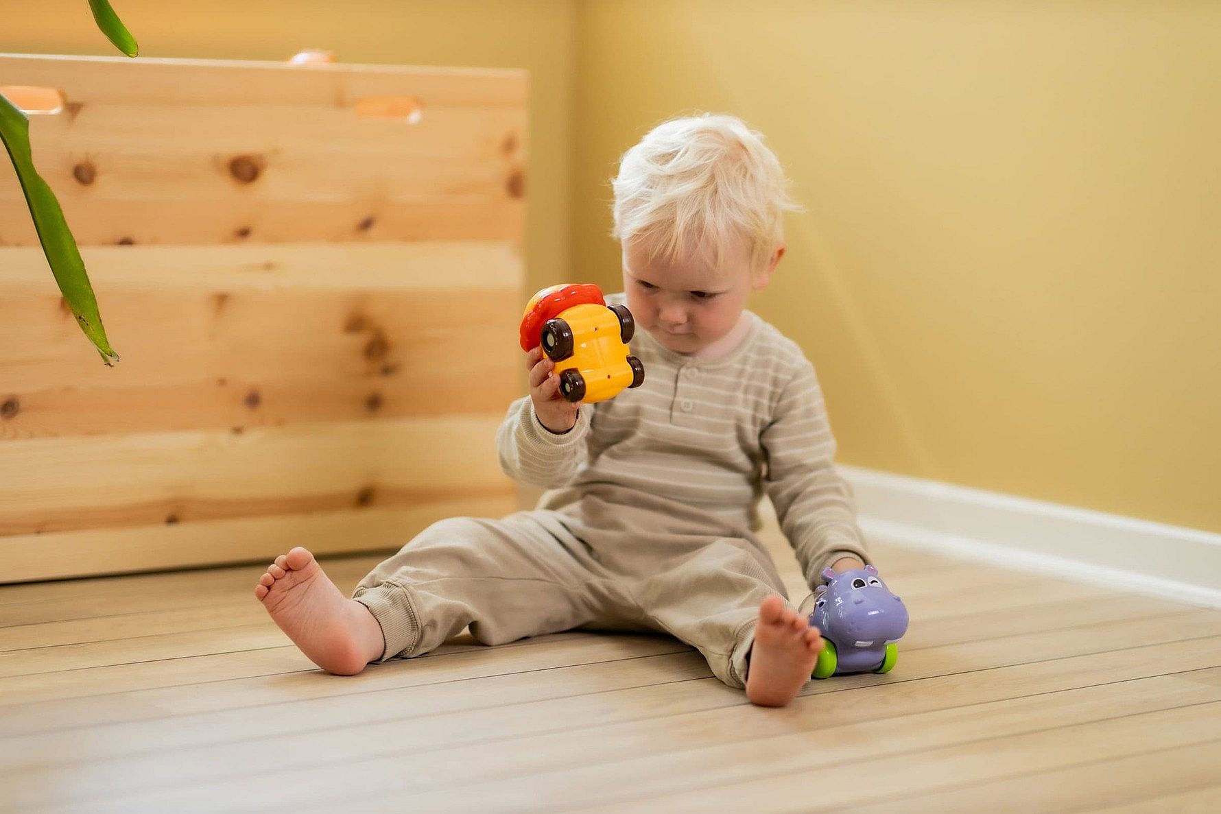 Køb Baby Legetøjsbil Flodhest Med Konfetti fra Scandinavian Baby ...