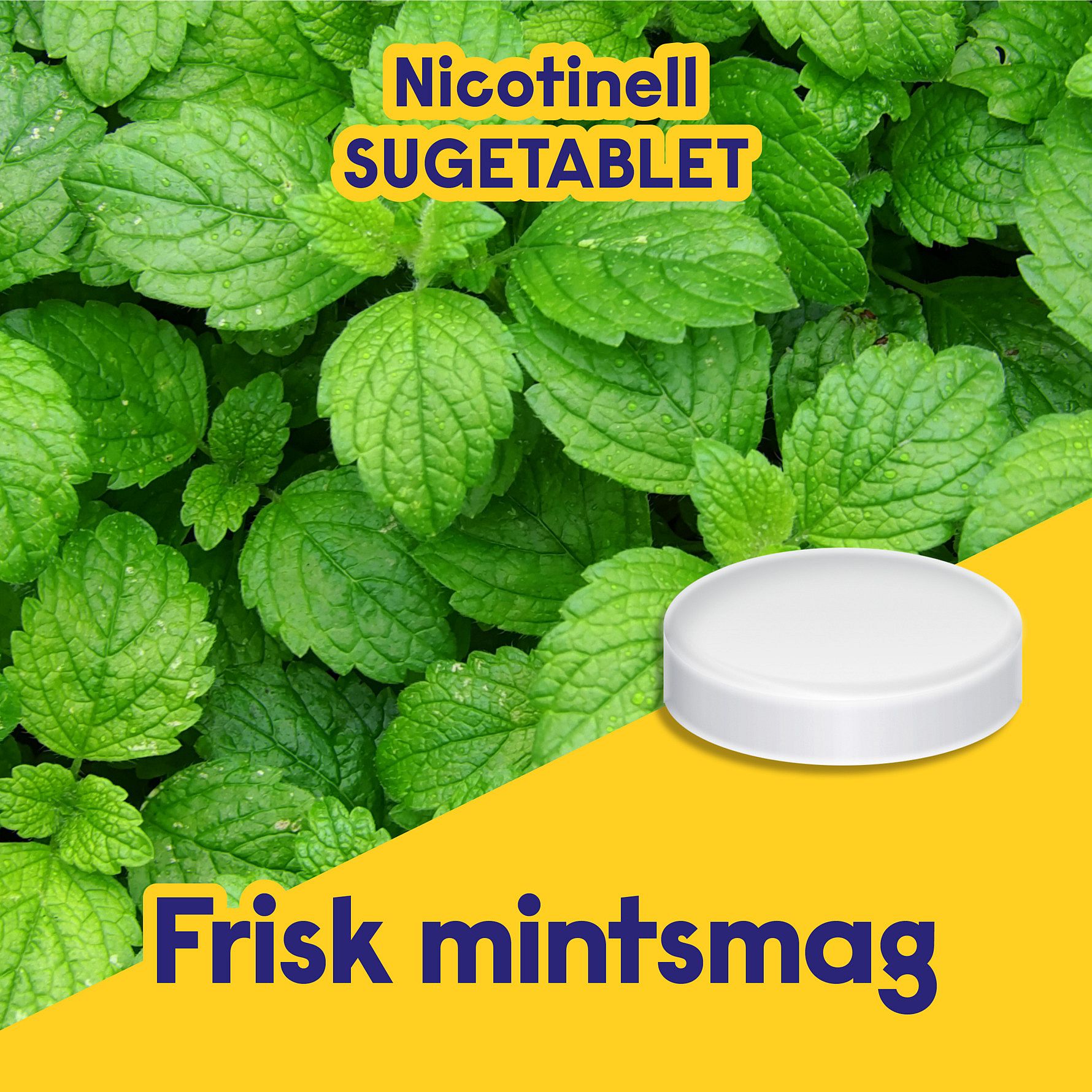 Køb Mint Sugetablet 1 mg 204 stk fra Nicotinell - Matas