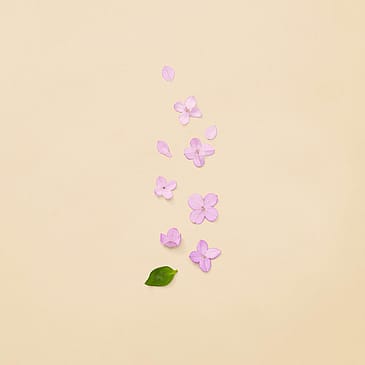 Køb Guilty Pour Femme Eau de Toilette 50 ml fra Gucci - Matas