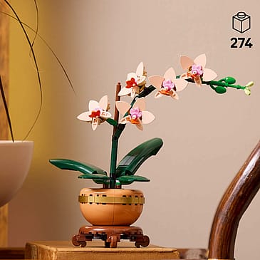 Køb Botanicals Miniorkidé Plantegave 10343 fra Lego - Matas