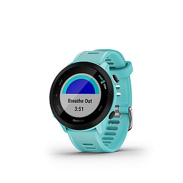 Køb Garmin Forerunner 55 Blue - Matas