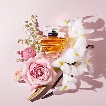 Køb Lancôme Trésor Eau de Parfum 50 ml - Matas