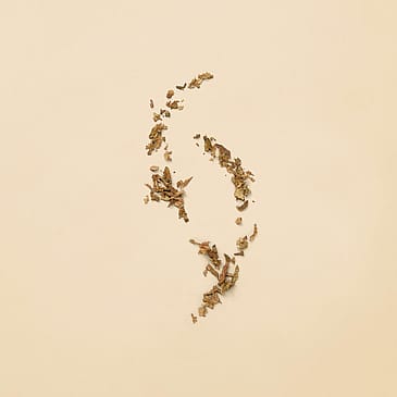 Køb Gucci Guilty Pour Femme 50 - Matas