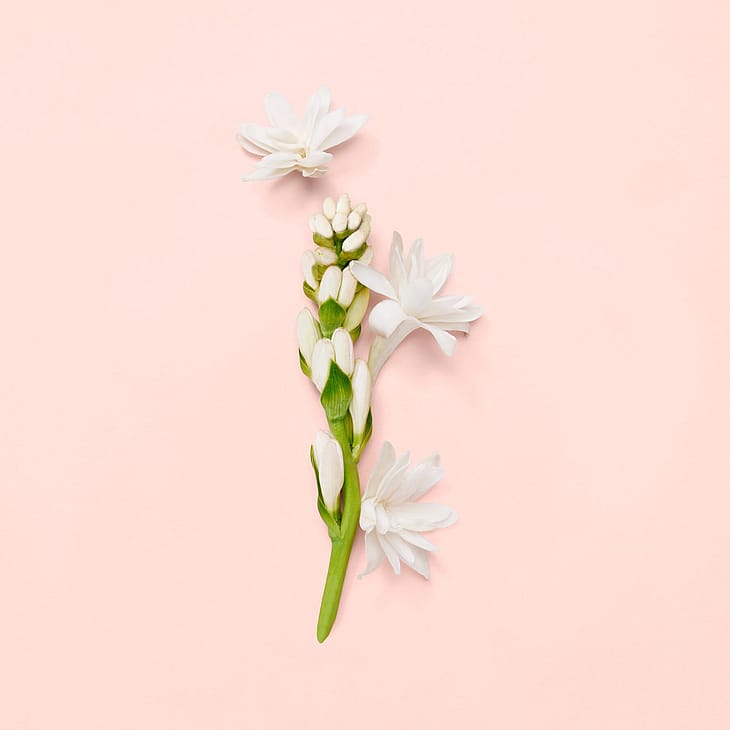 Køb Bloom Eau de Parfum for Women - Matas