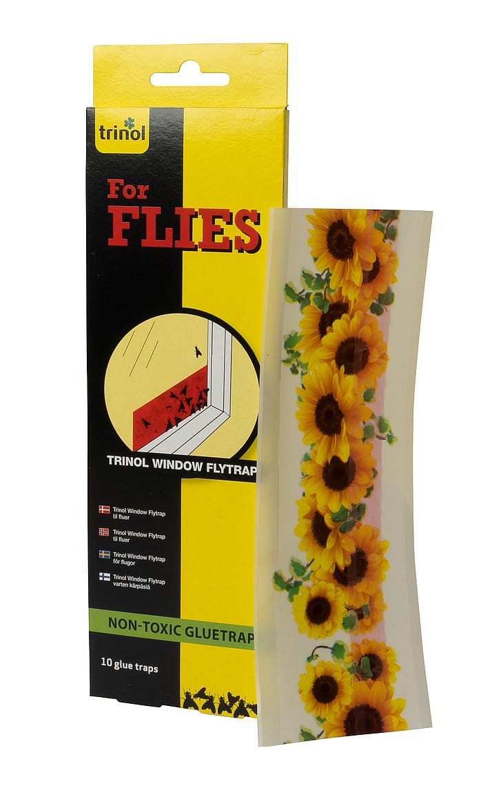 Køb Window flytrap - Matas