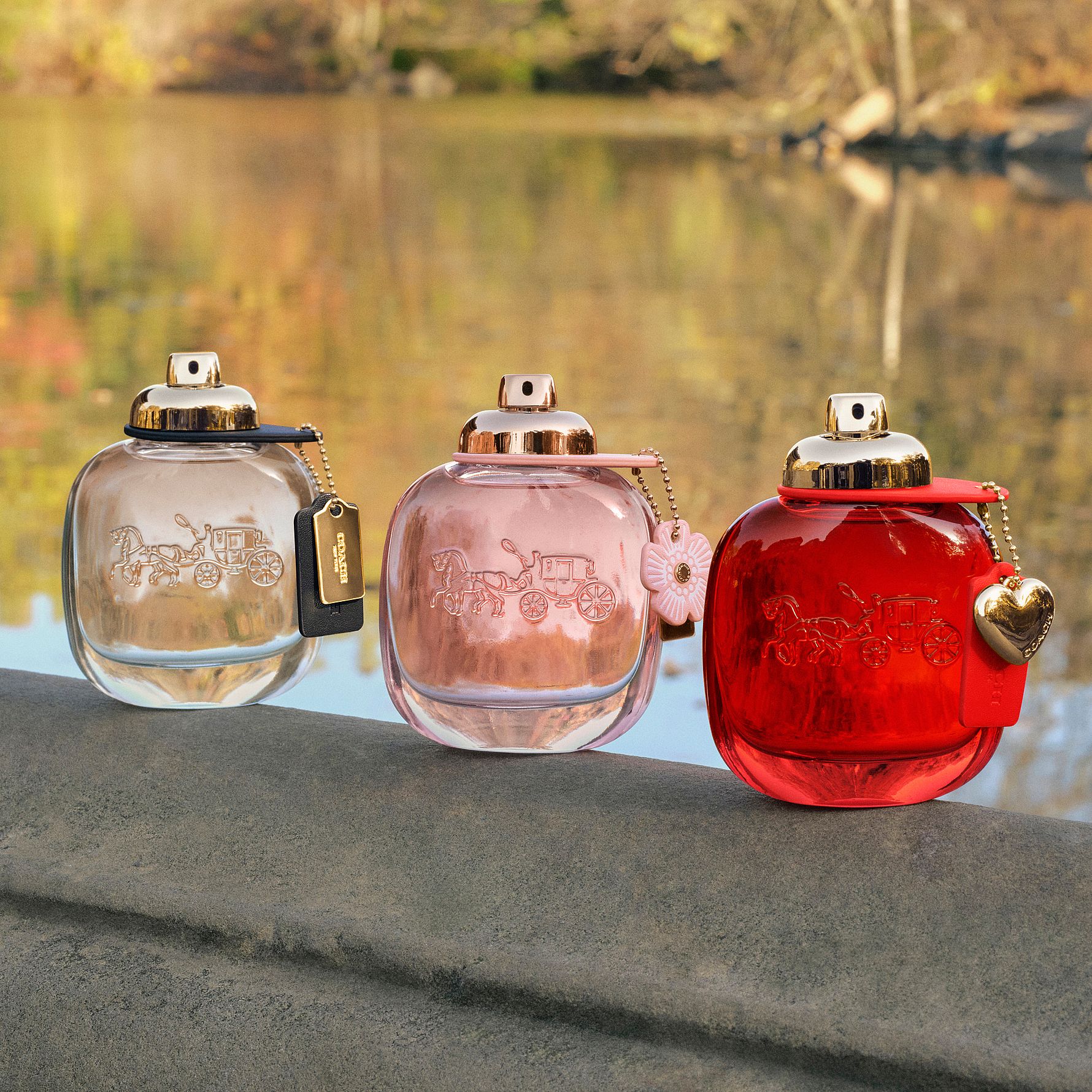 Køb Eau de Parfum 50 ml fra Coach - Matas