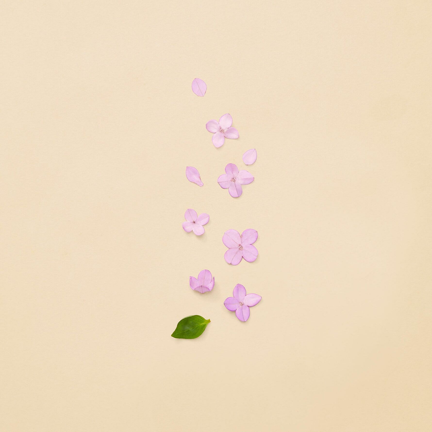 Køb Guilty Pour Femme Eau de Toilette 50 ml fra Gucci - Matas