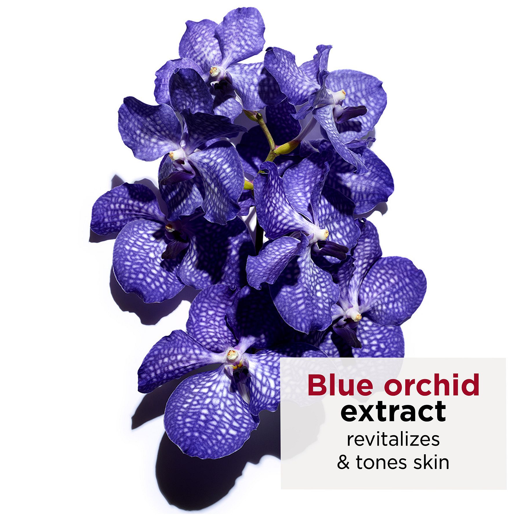 Køb Face Treat Oil Blue Orchid 30 ml fra Clarins - Matas