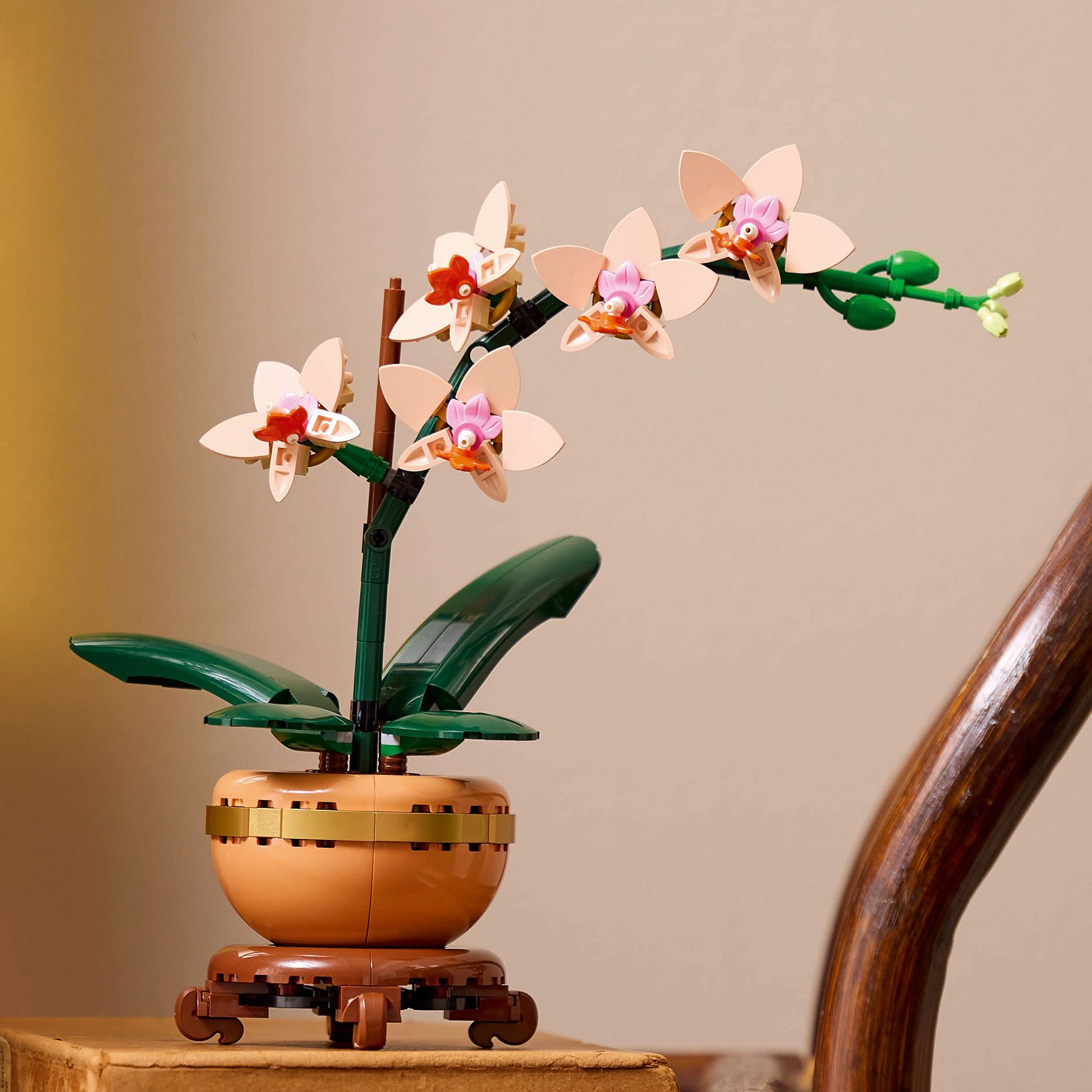 Køb Botanicals Miniorkidé Plantegave 10343 fra Lego - Matas